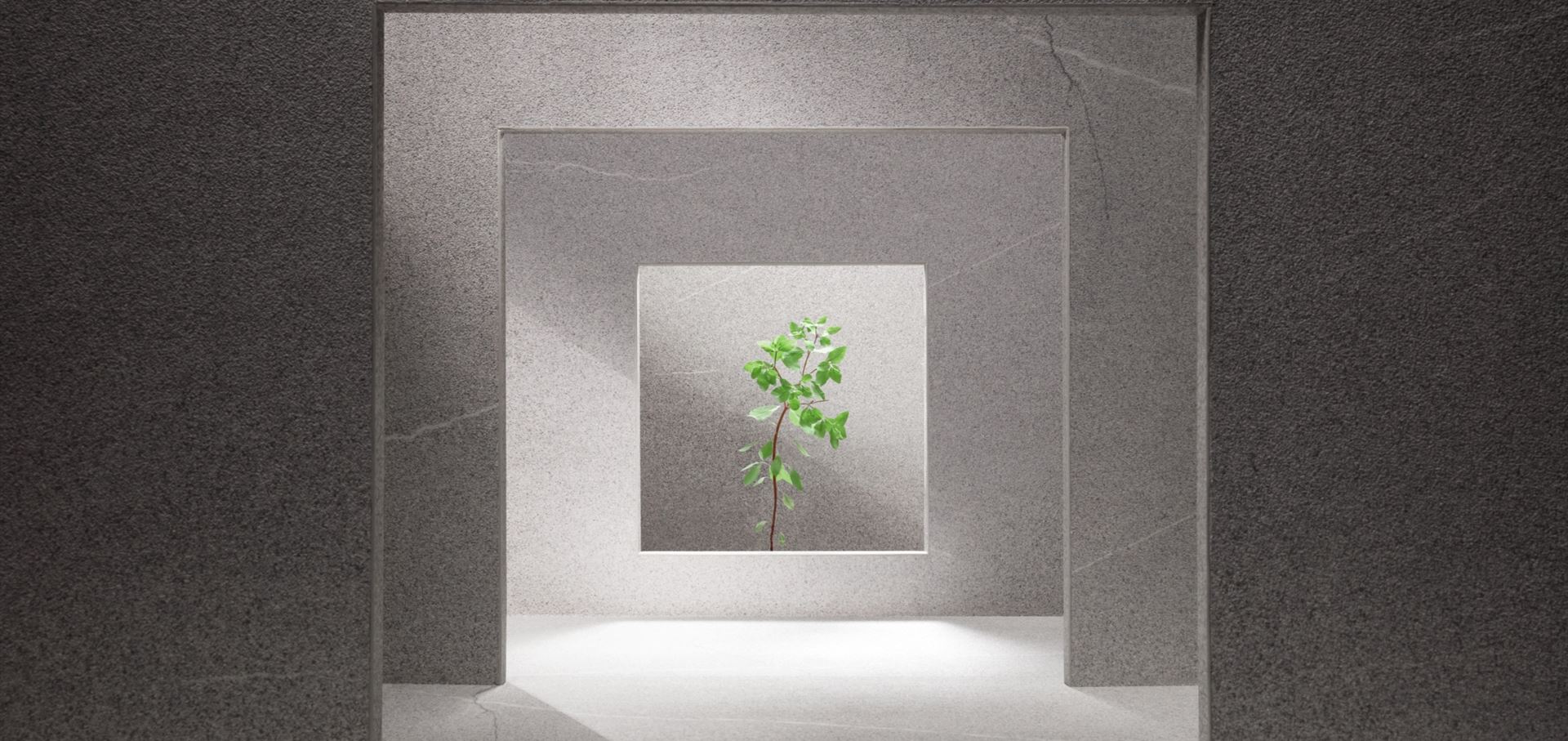 Concreta FC37 | 可丽芙 Cleaf: 意大利制造，忠于丰盈且多维的感官享受